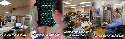 CAMC LabWorks and CAMC Clinical Laboratories